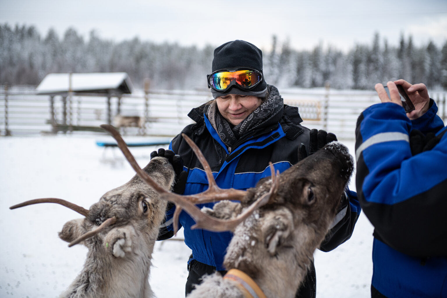 Snowmobile safaris at Levi - Kinos Safaris